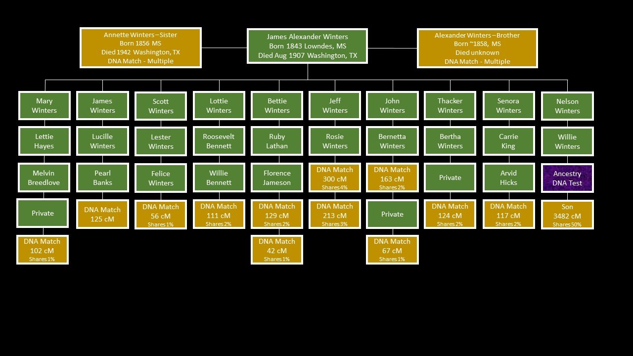 Winters DNA Sample | Tracing Lineage